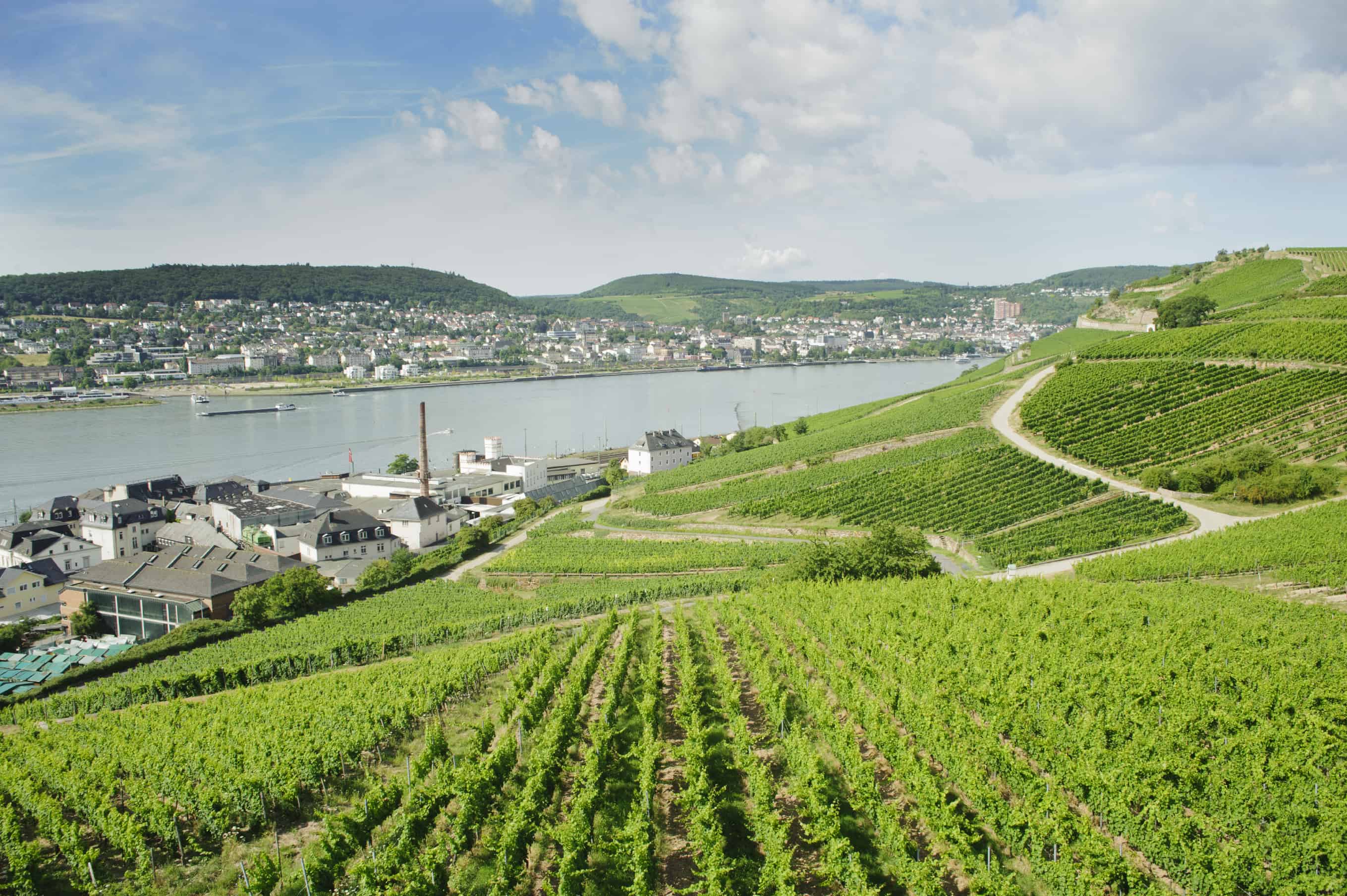 O'Brien Estate2024 Rhine River Wine Cruise & Now Sailing - Food & Wine ...