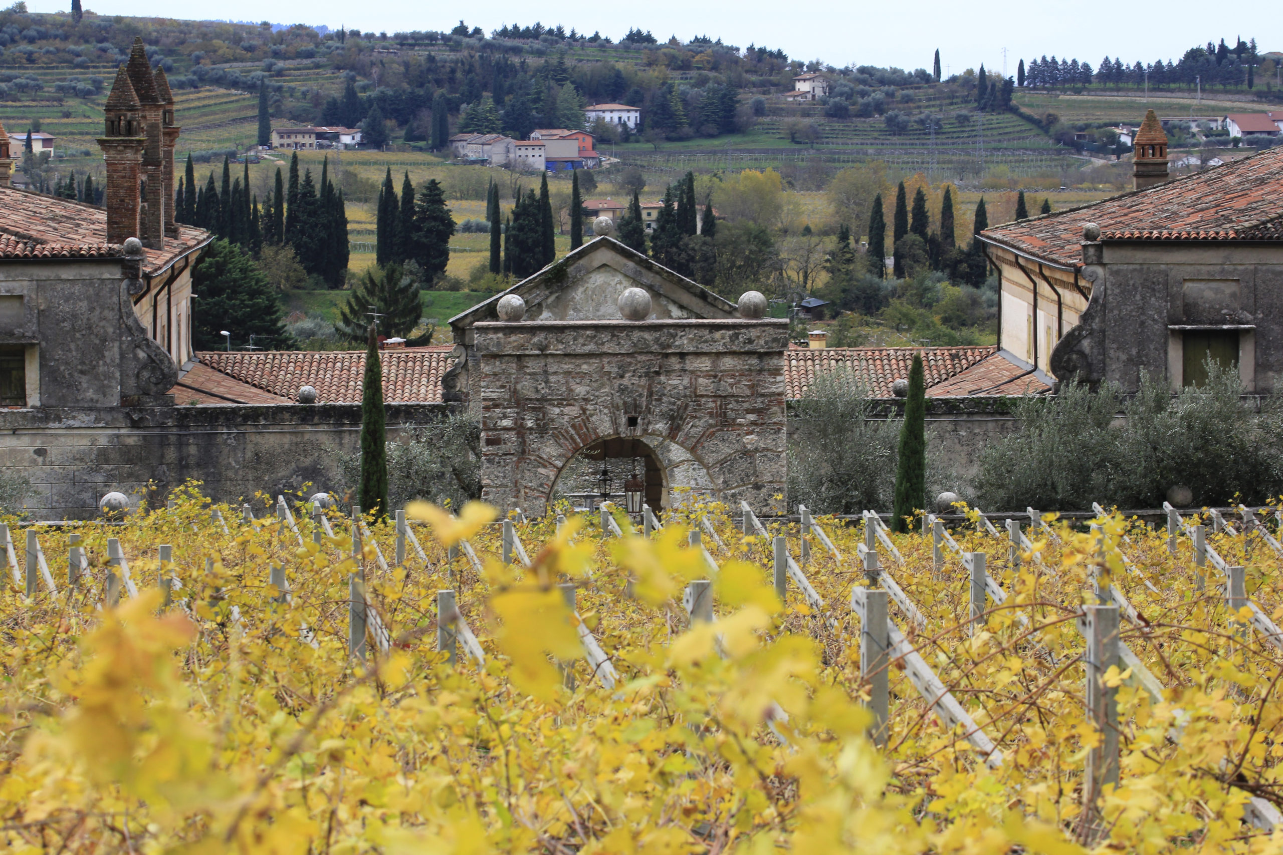 ZAP's Enchantments of Northern ItalyOctober Wine ExperienceDeparted ...